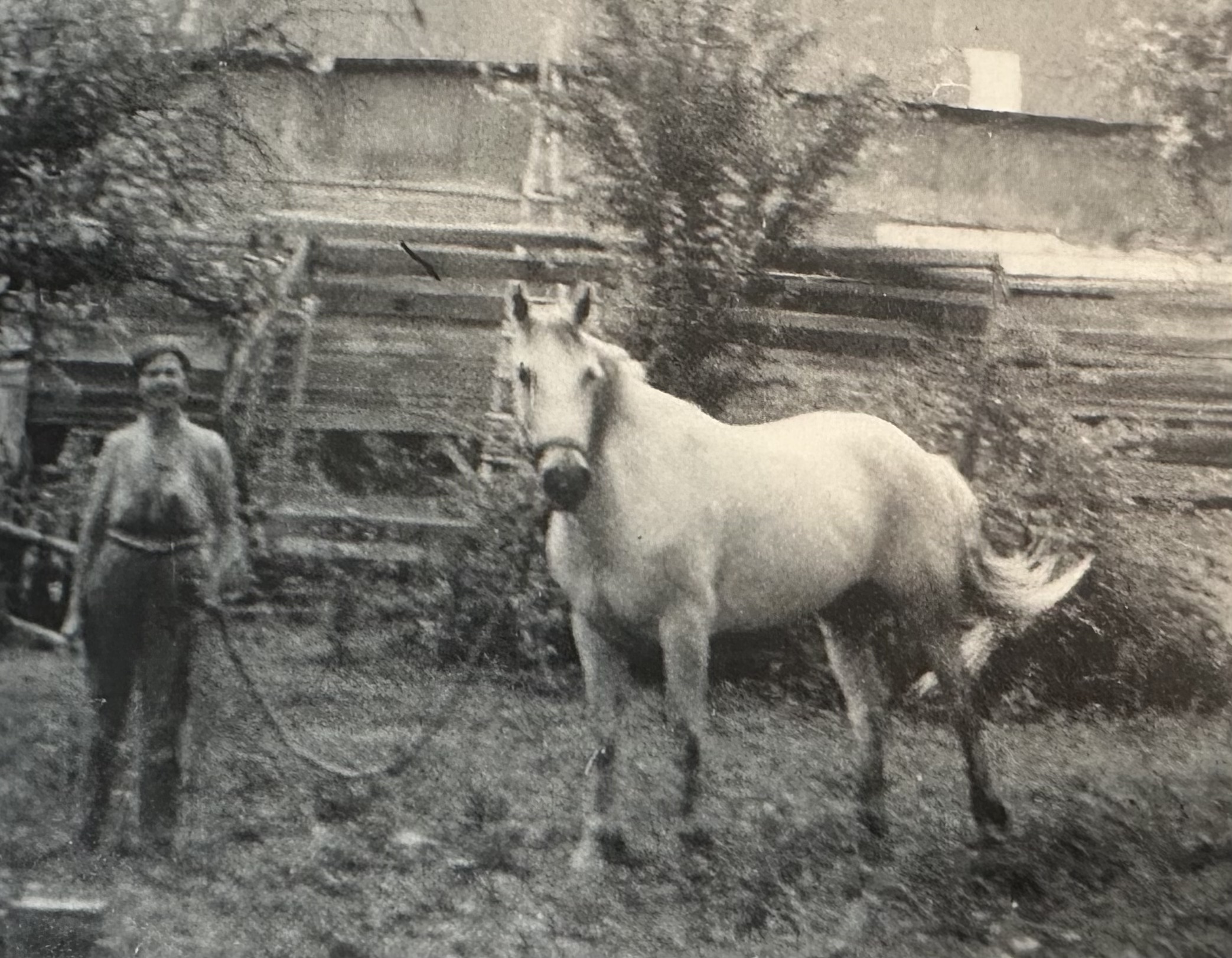 The history of Pilot Bay Lighthouse | The widow, the keeper, and the ...